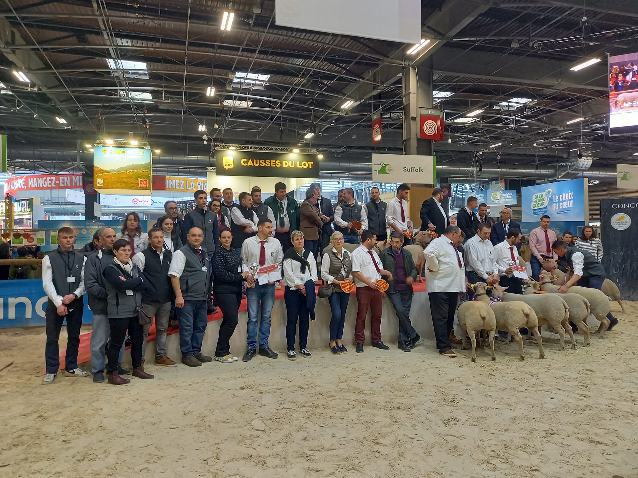 Un 51e concours général de Moutons Charollais très réussi ! - Agri 71 ...